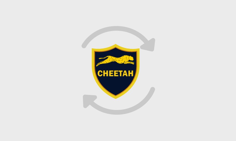 Cheetah Tool Pro Version 2025.05.07.152.0 is out! - GsmServer
